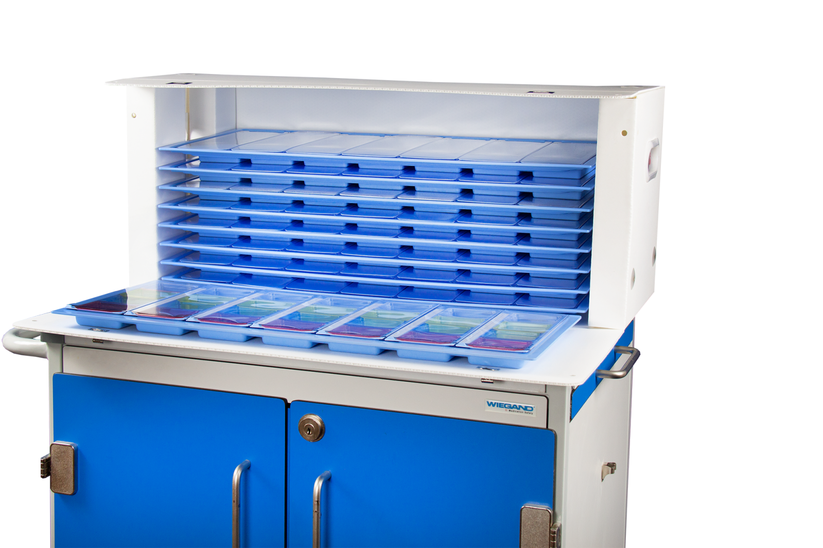 Blaues System - Wiegand